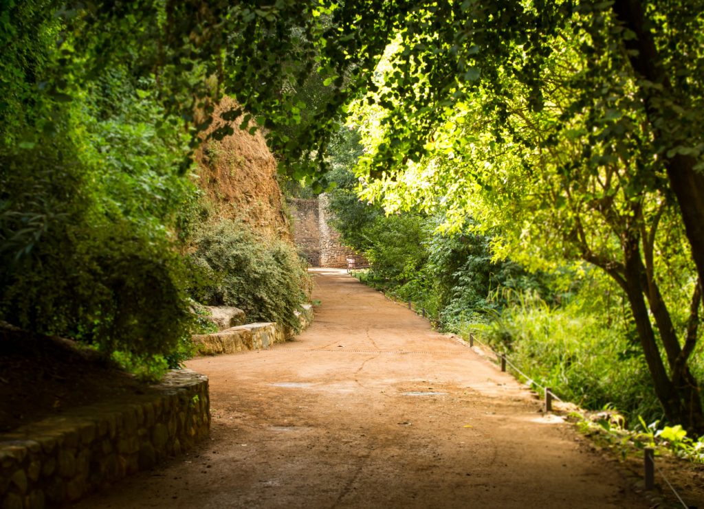 Alhambra y generalife - Patronato de la Alhambra y Generalife